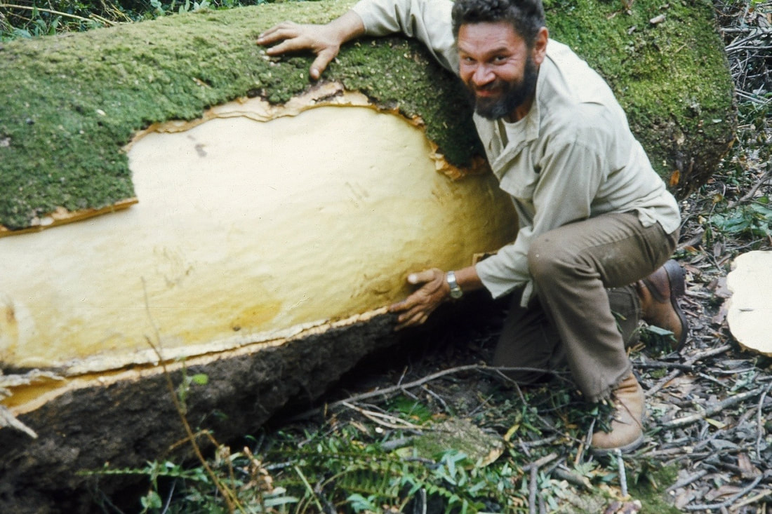 Memorials - It's Time for Morning Meeting